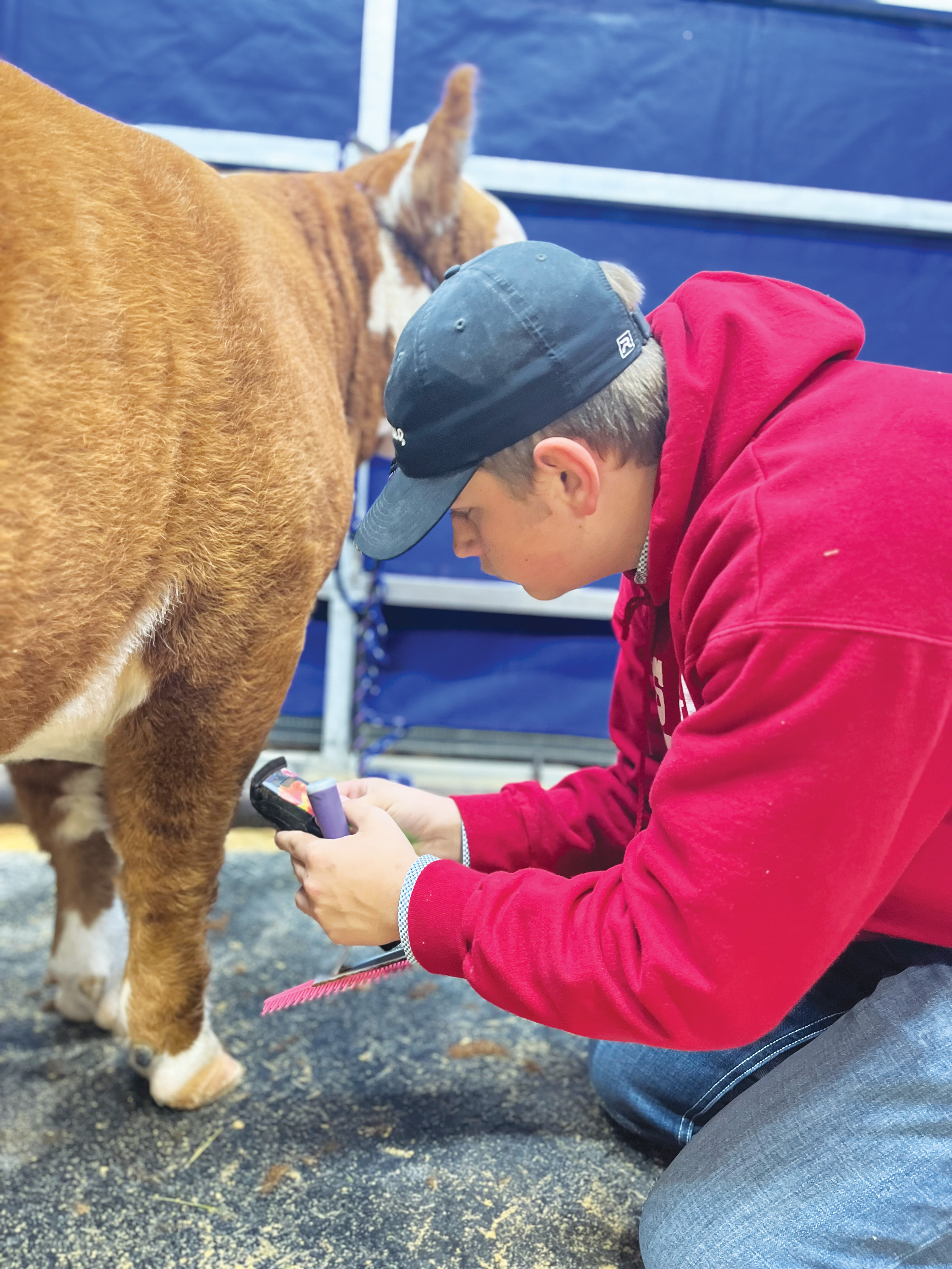 Participants gearing up for this year’s Hill County Fair – The Lakelander